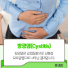 여성방광염증상의 소변볼 때 통증과 빈뇨 네이버 블로그